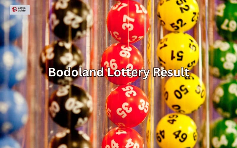7 Common Mistakes When Checking Bodoland Lottery Result - My Lotto Guide
